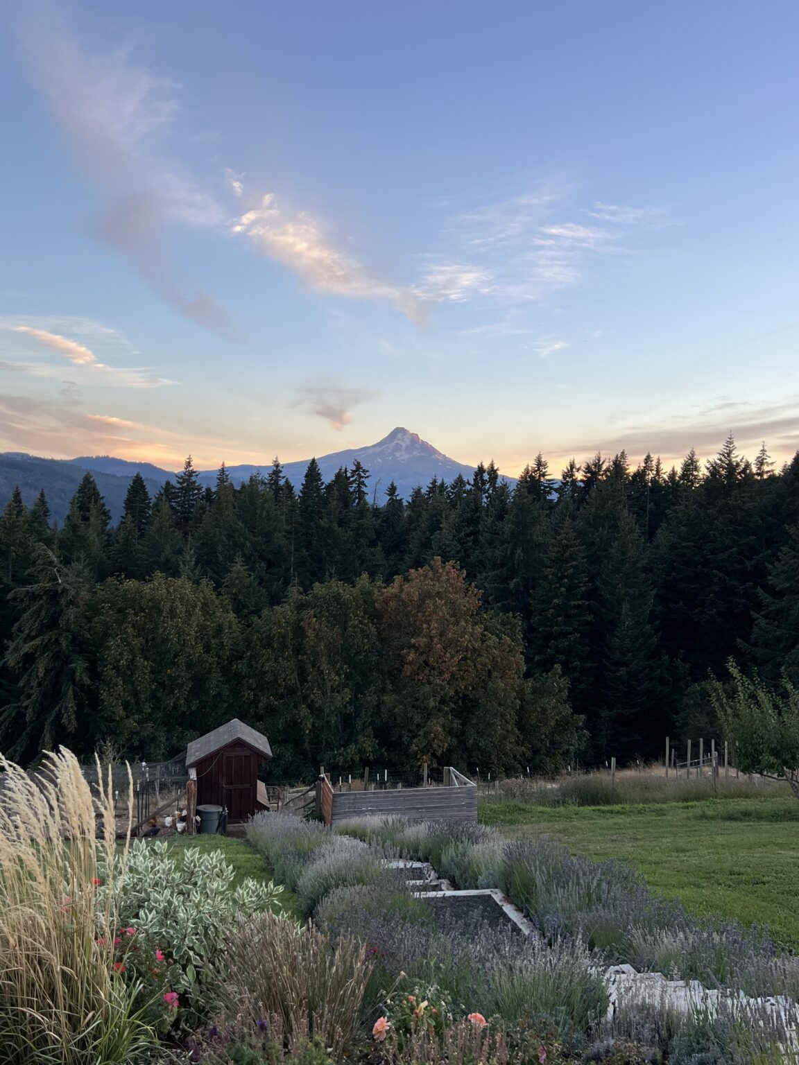 PNW Road Trip: From Seattle to Portland in Five Days - CIRE Travel